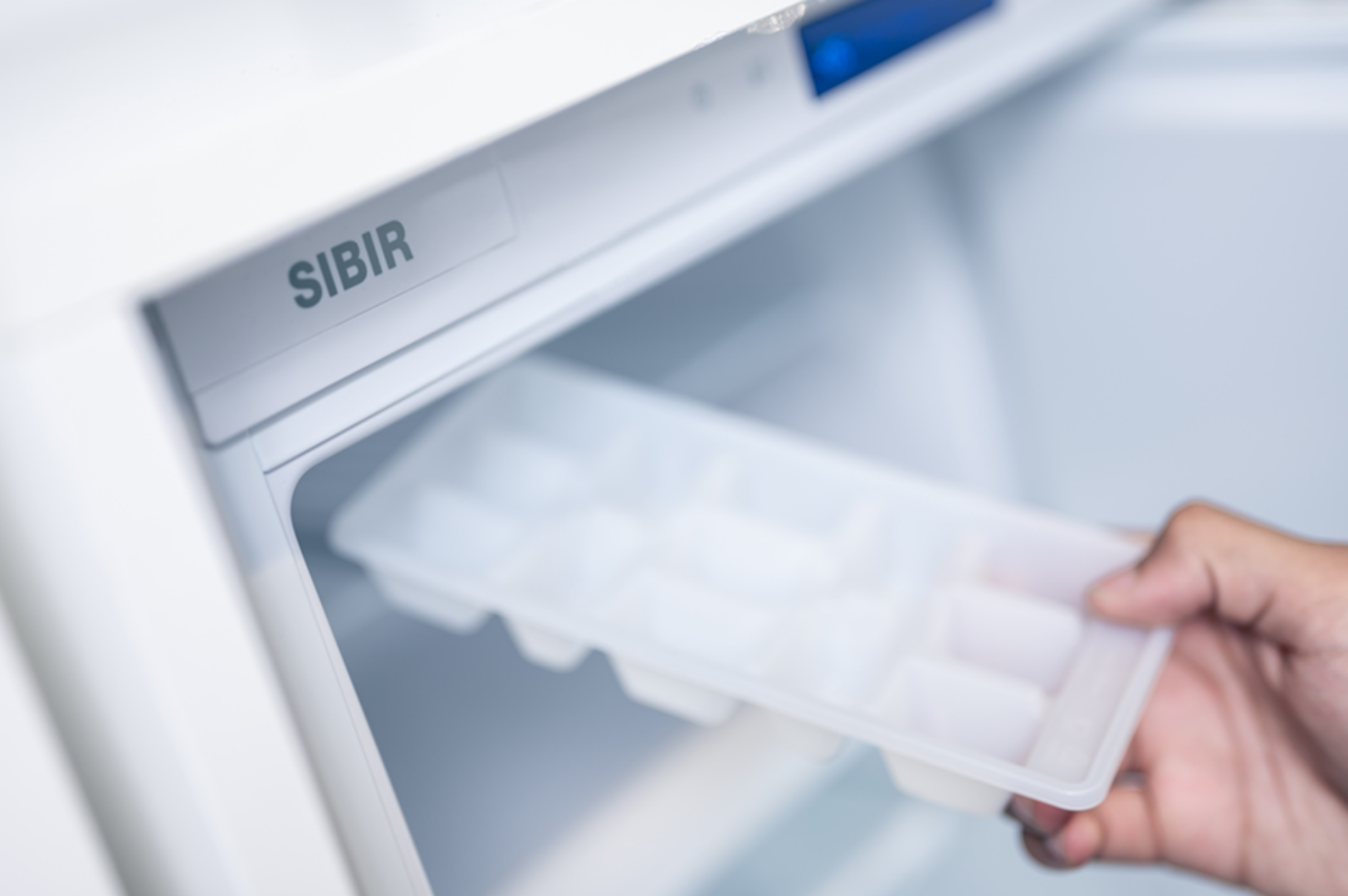 Clean your fridge properly - Hygiene & freshness tips | Sibirgroup